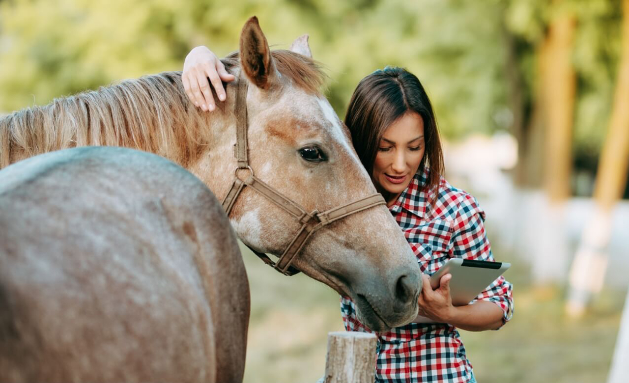 Osphos® - Seu animal merece um tratamento adequado